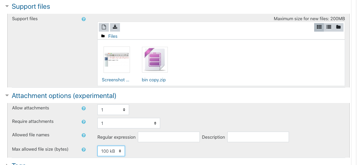 CodeRunner: how to access attached files
